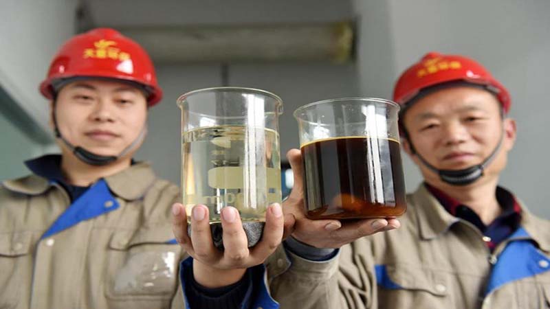 Shanghai fuels buses with biodiesel made from 'gutter oil'-China Story